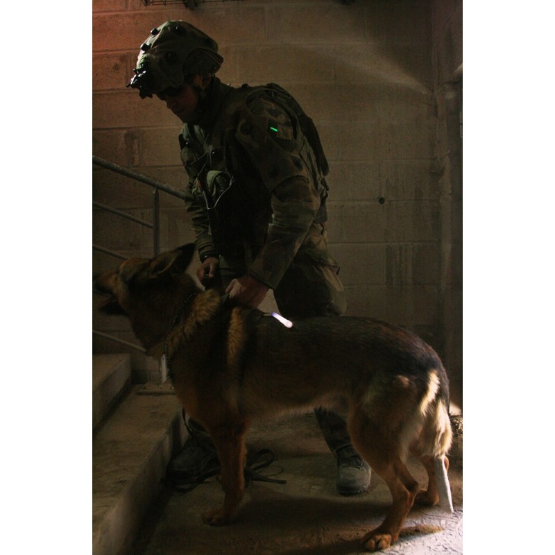 6 inch Chemlight (15cm) white Military Grade Lightstick 6inch with ...